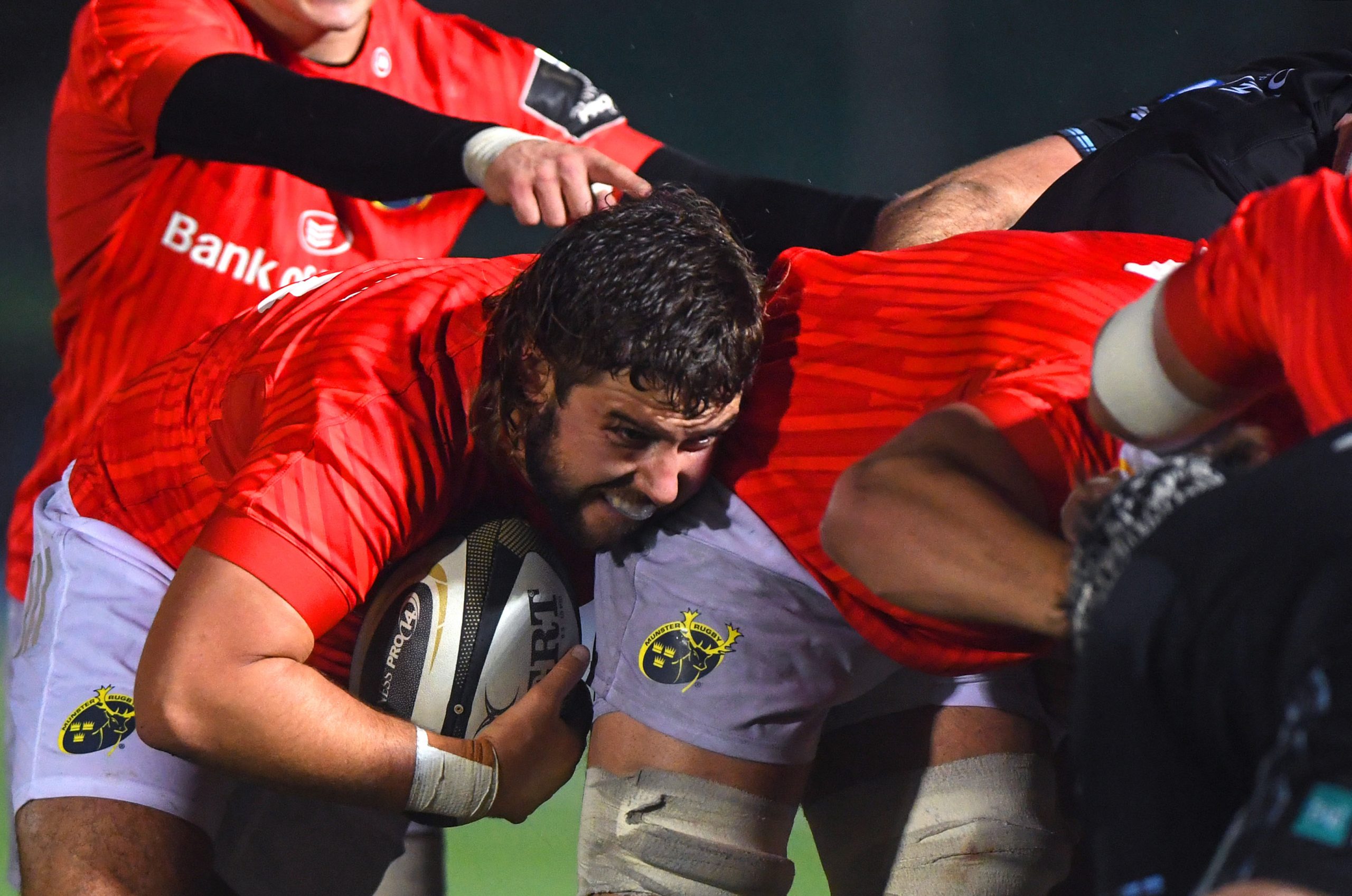 The Kiwi Shepherd - Rugby Players Ireland